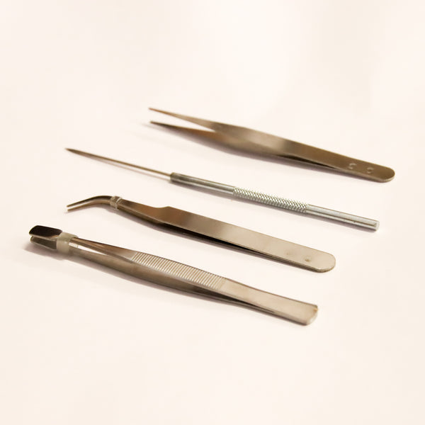 Professional Entomology Tools | Stainless Steel Forceps & Setting ...