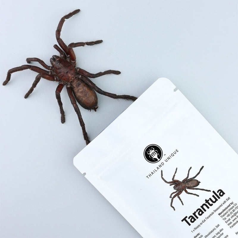 2 Pack's Cooked Edible Tarantulas (Haplopelma albostriatum) *Special O ...