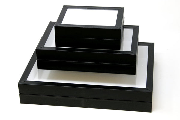 Empty Box Frame Entomology Butterfly Display Case with Glass Lid (Black ...